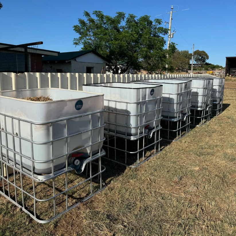 Premium Worm Farm Factory Kit – Worm Solutions